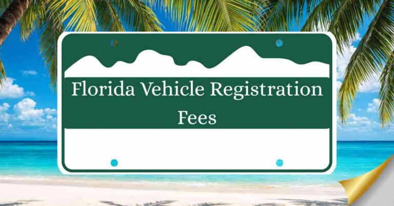 Florida Vehicle Registration Fees